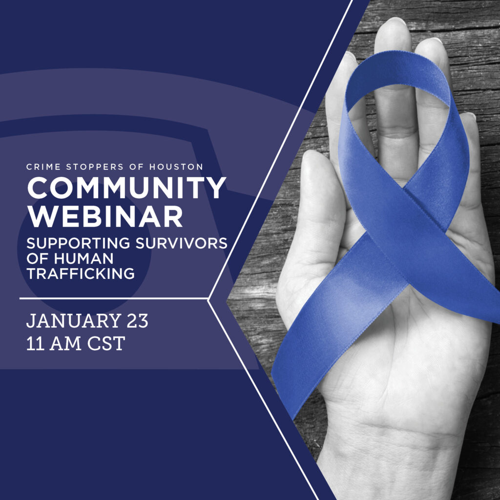 SCI Virtual Programming: Supporting Survivors Of Human Trafficking ...